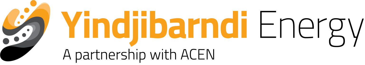 The past to guide the future - ACEN Australia