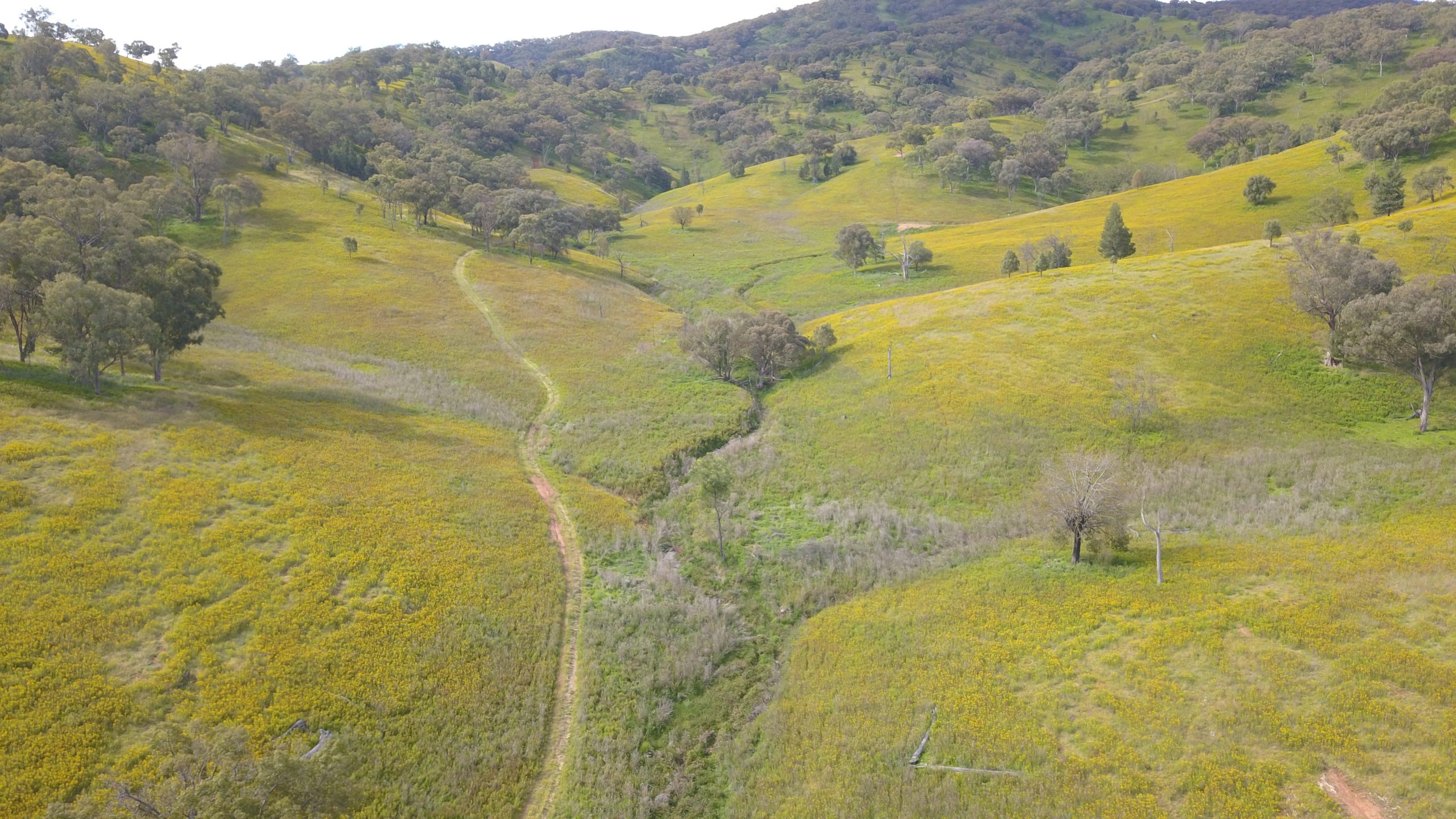 Phoenix Pumped Hydro - ACEN Australia