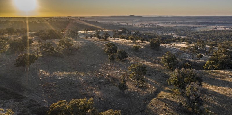 Home - ACEN Australia