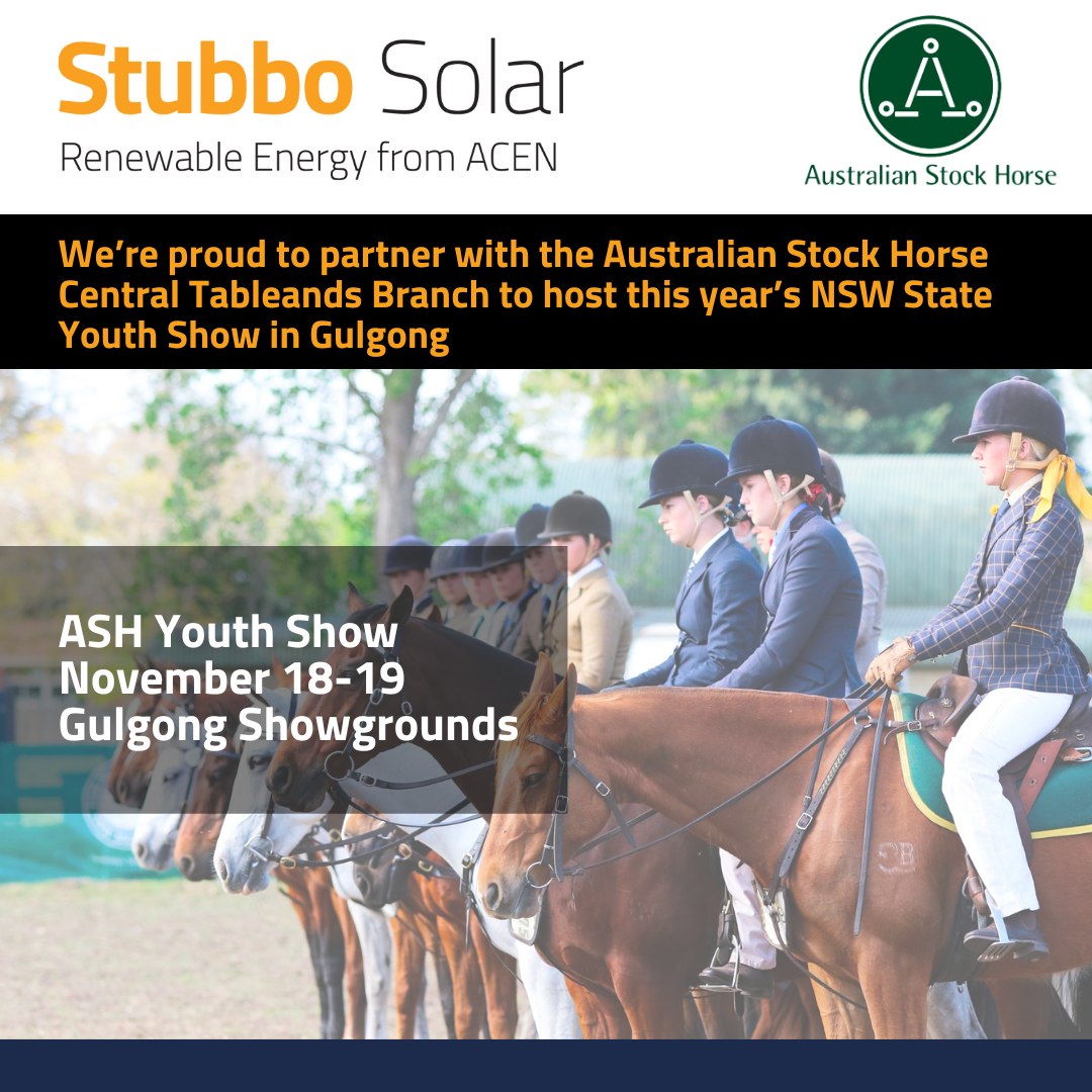 Stubbo Solar - ACEN Australia