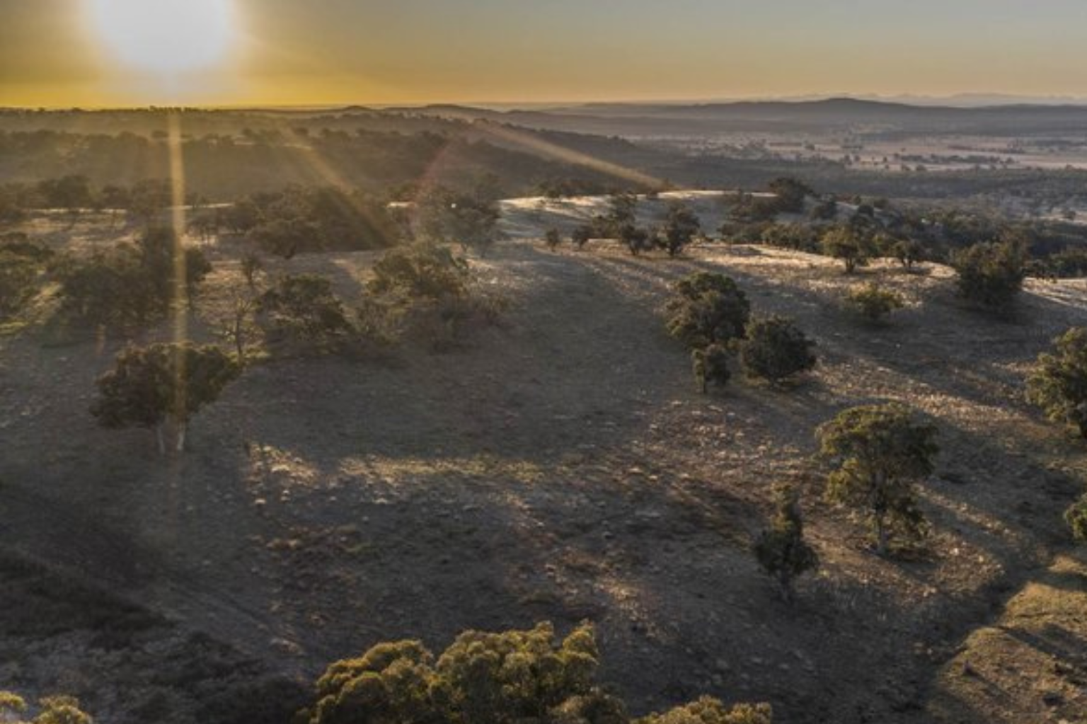 Projects - ACEN Australia