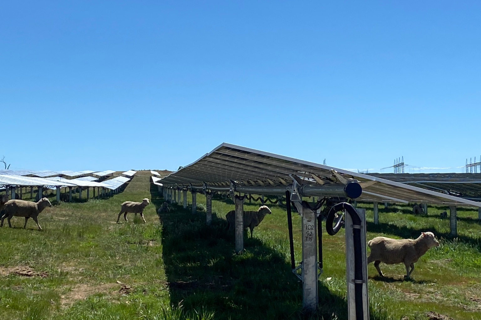 About us - ACEN Australia