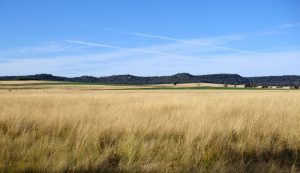 Birriwa Solar - ACEN Australia