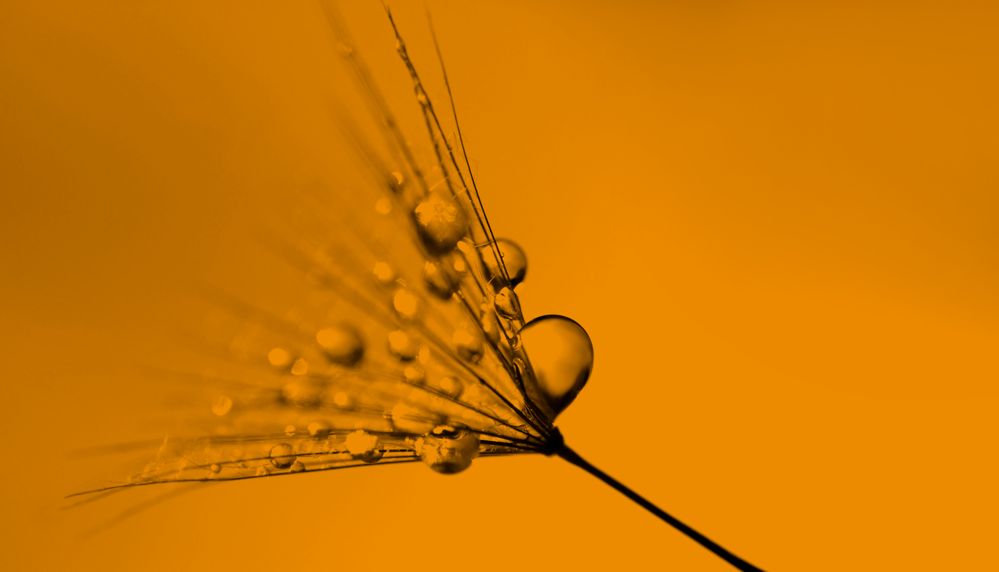 Sustainability - ACEN Australia